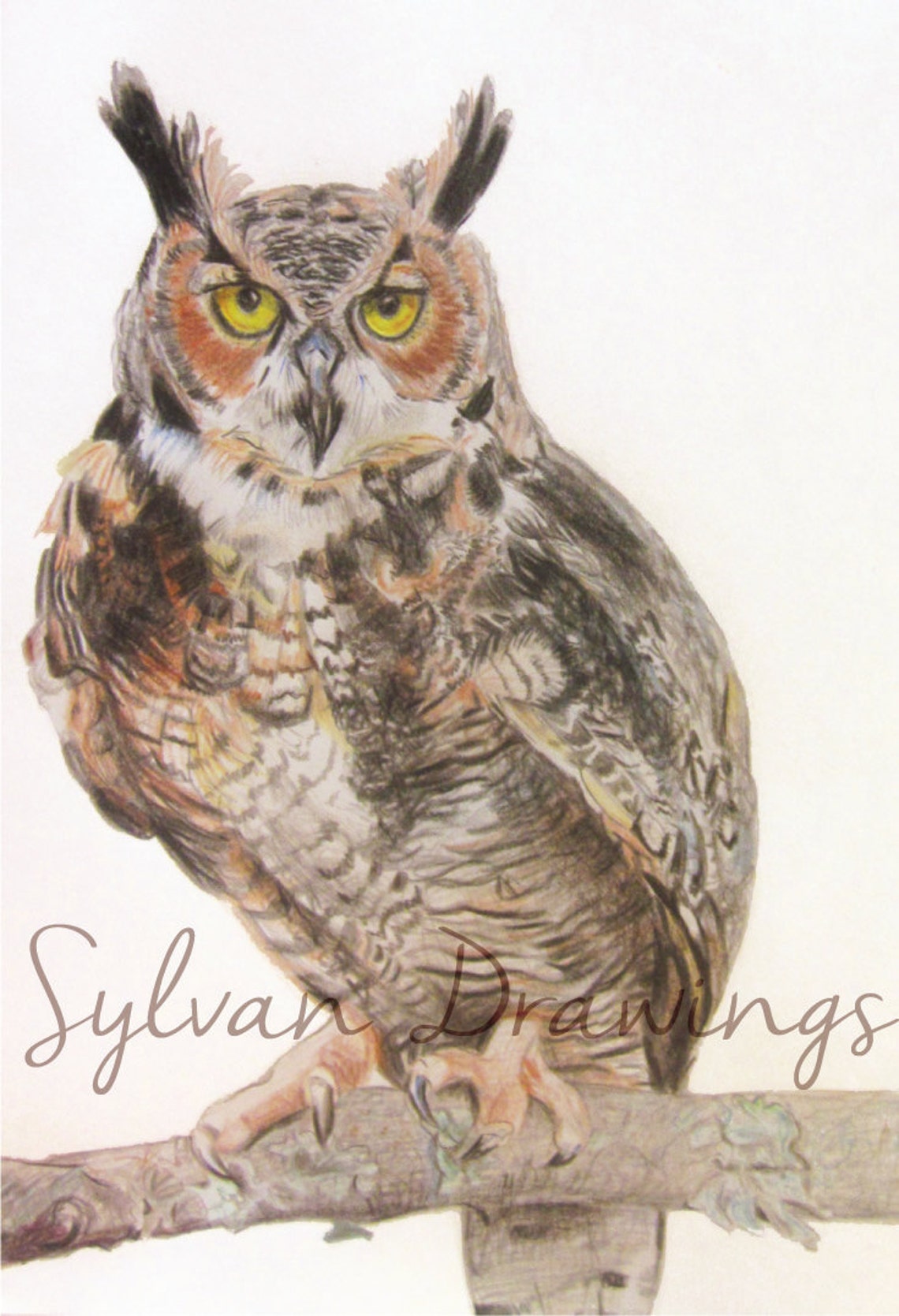 Great Horned Owl Note Cards - Etsy