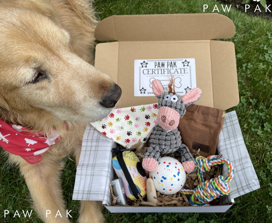 Personalized Dog Box, New Puppy Gift Box, Dog Box, New Pet Gift, New ...