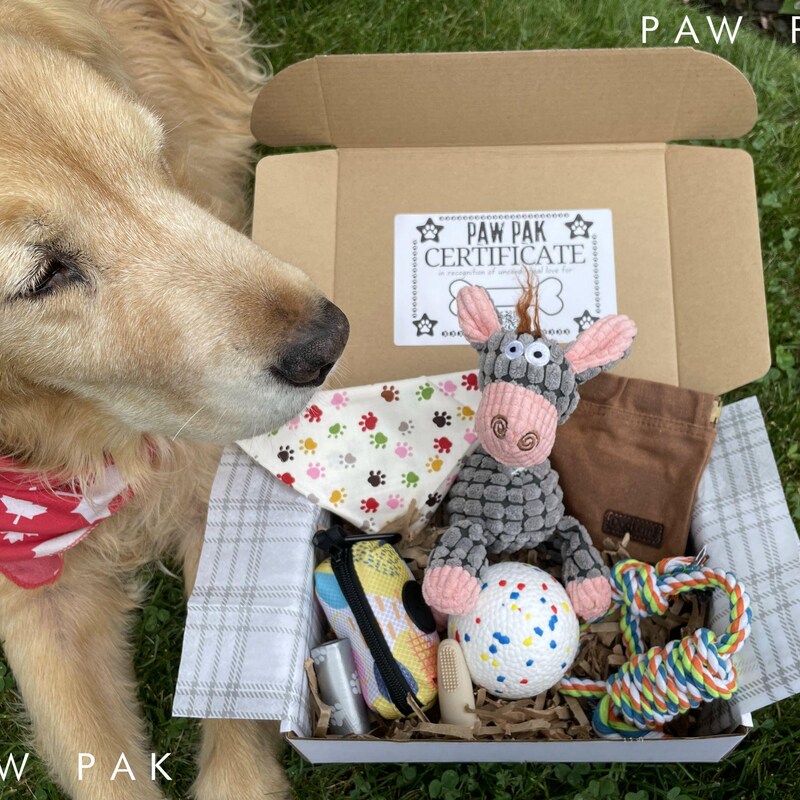 New Puppy Gift - 60+ Gift Ideas for 2025