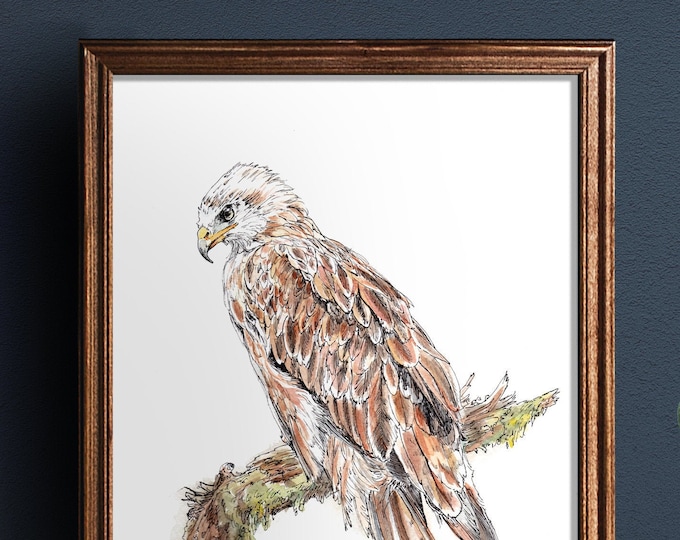 Red Kite Drawing Bird of Prey Watercolour Bird Art in Pen - Etsy UK