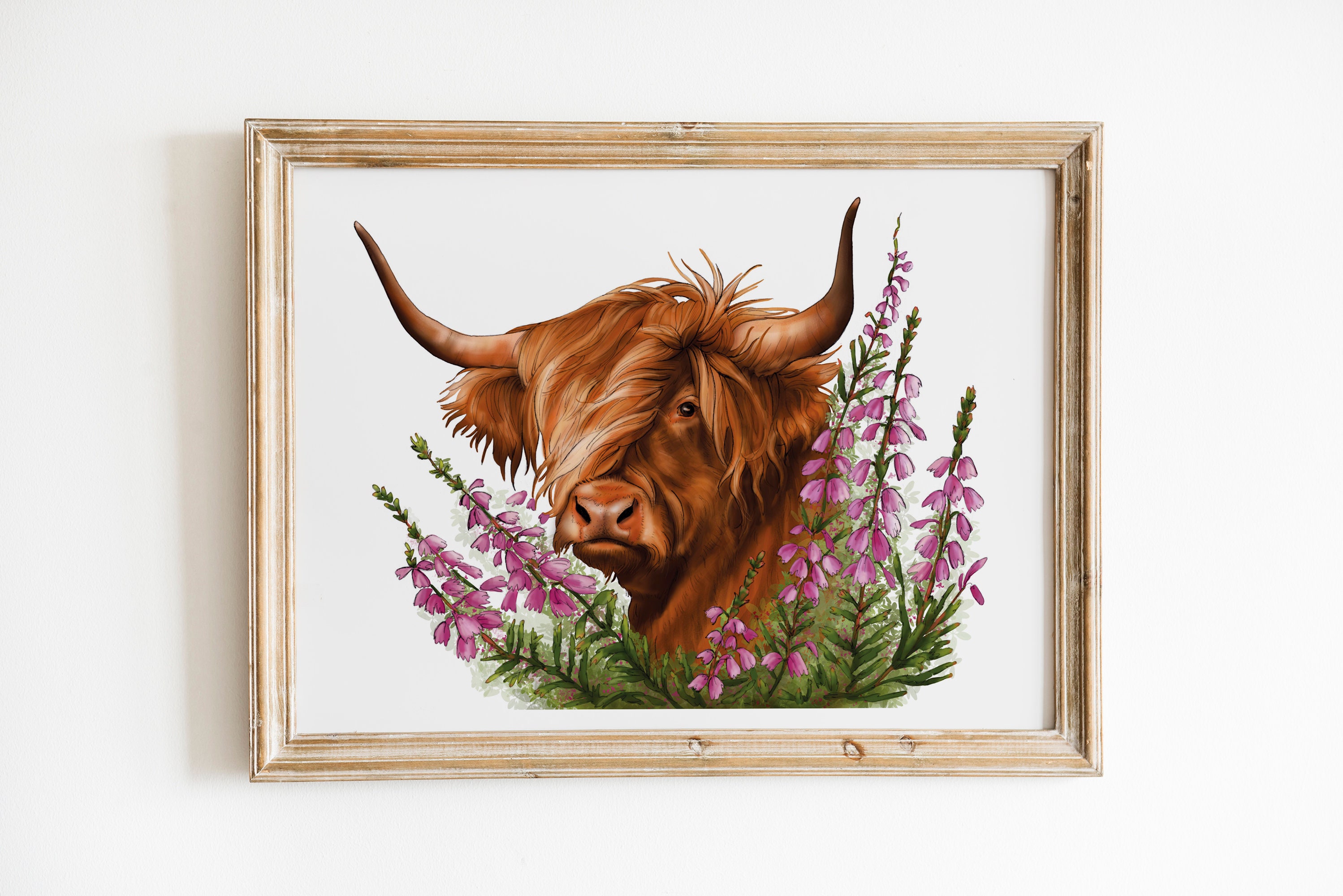 Highland Cow & Heather Print - Heilan Coo Drawing - Hairy Coo Digital ...
