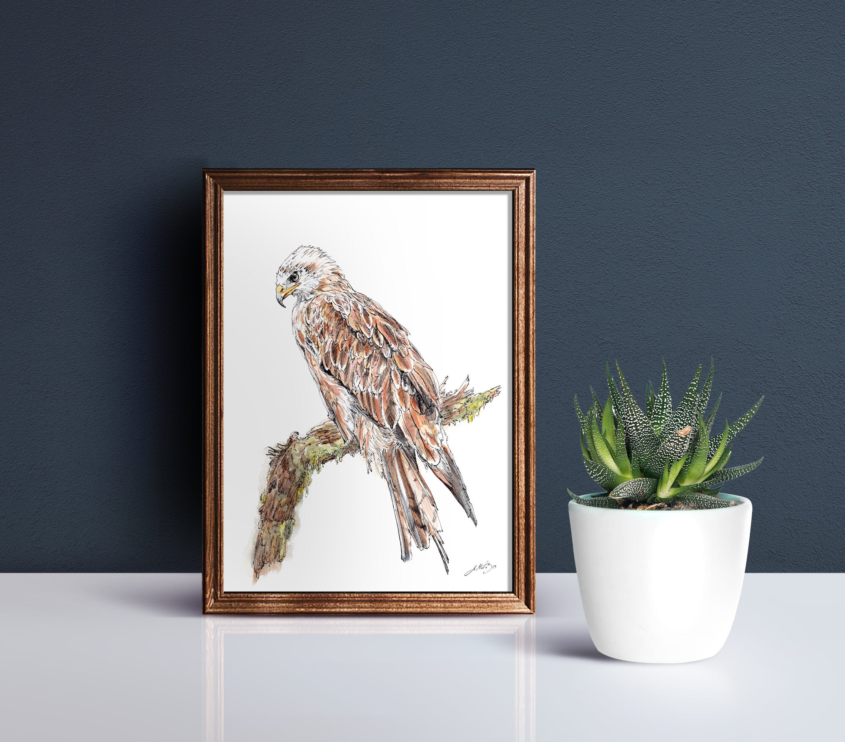 Red Kite Drawing Bird of Prey Watercolour Bird Art in Pen - Etsy UK