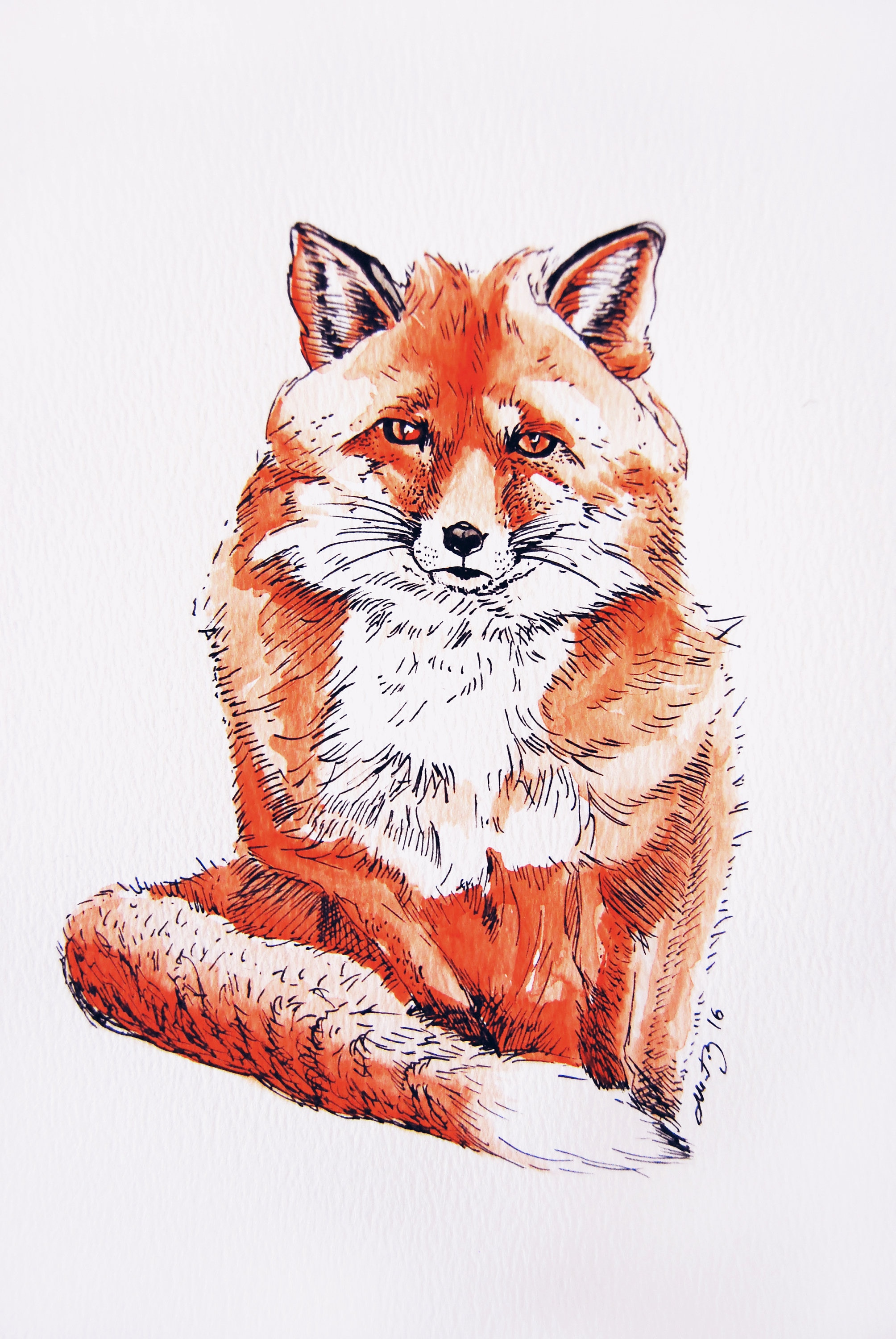 Fox Watercolour Ink Pen Drawing Original Pen & Watercolour - Etsy