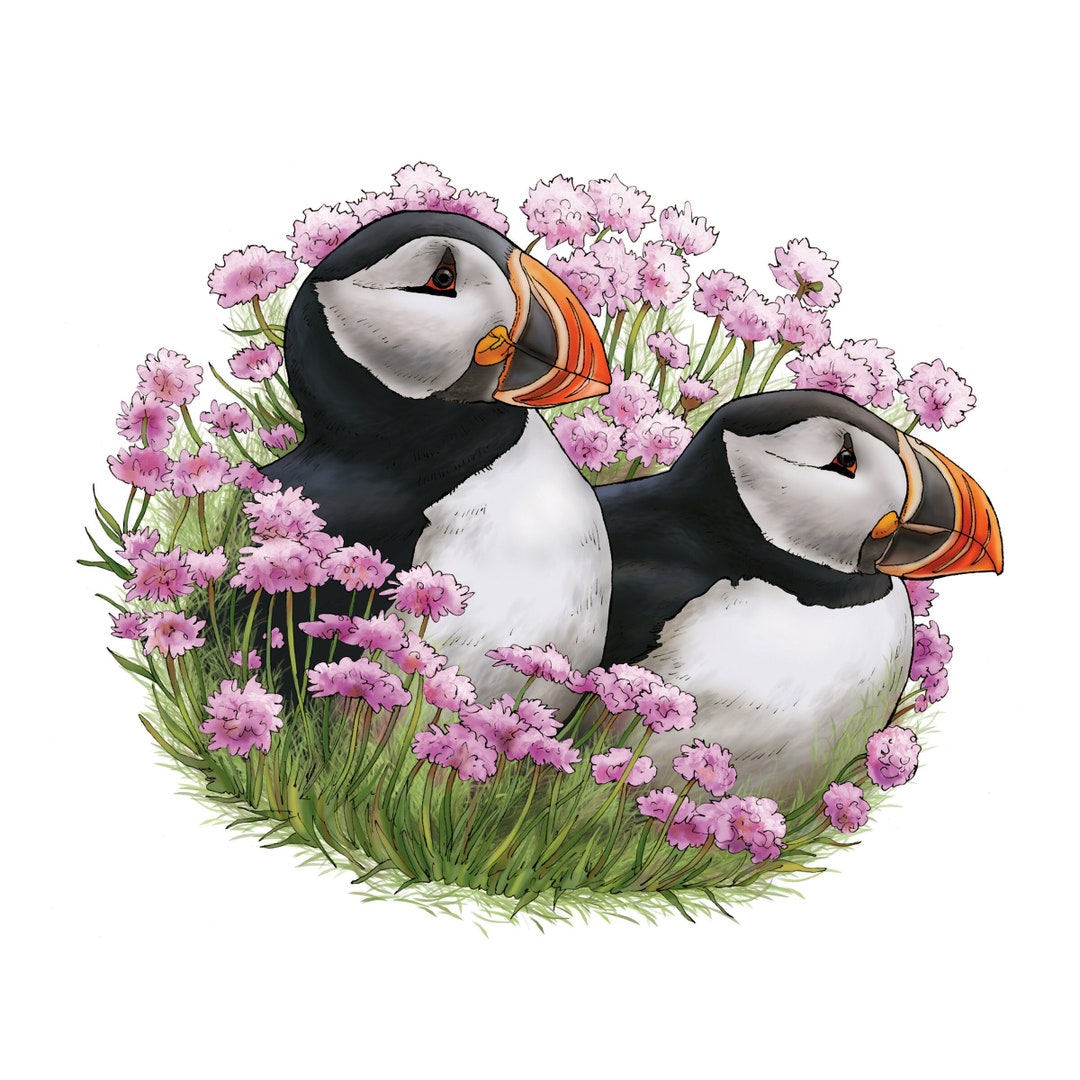 Atlantic Puffins Print Puffins Couple & Sea Thrift - Etsy