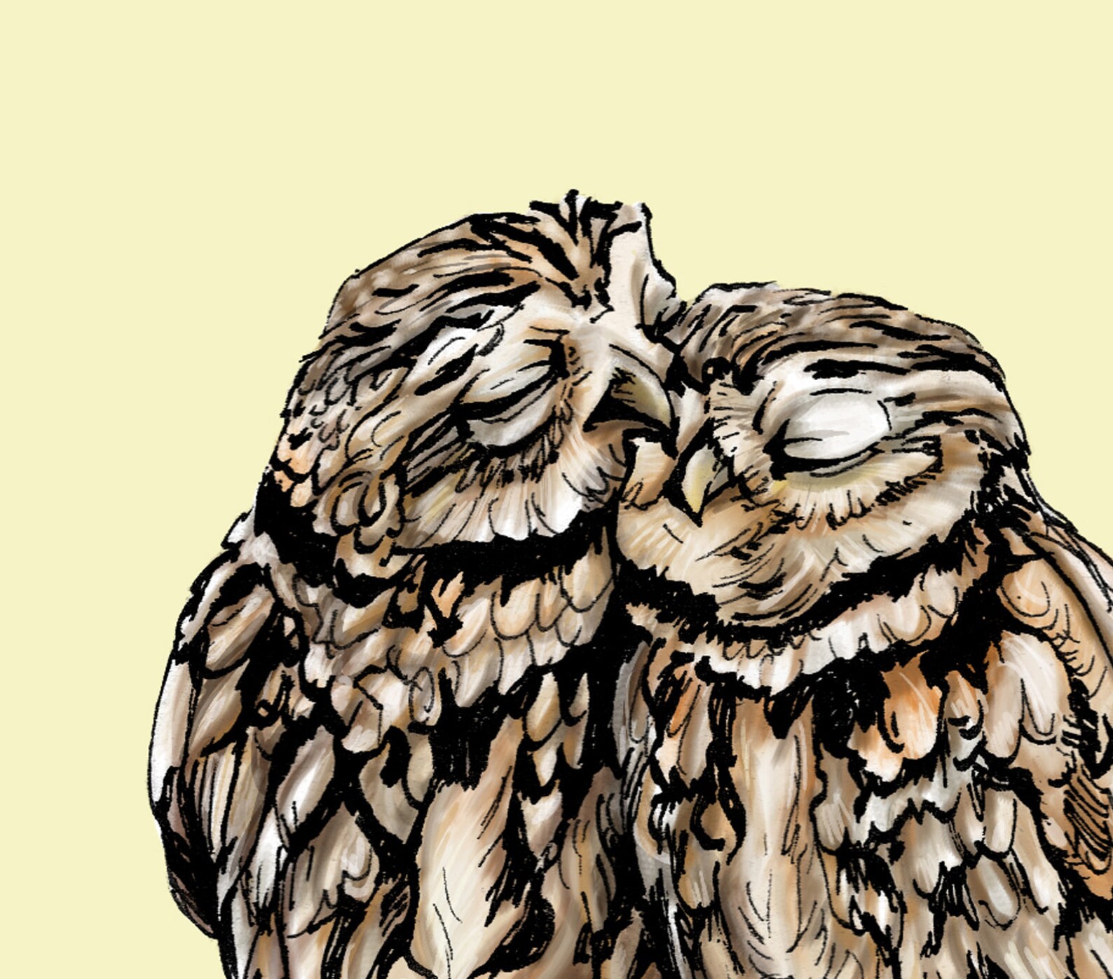 Owls in Love Love Owls Print Birds Print Print of an - Etsy UK