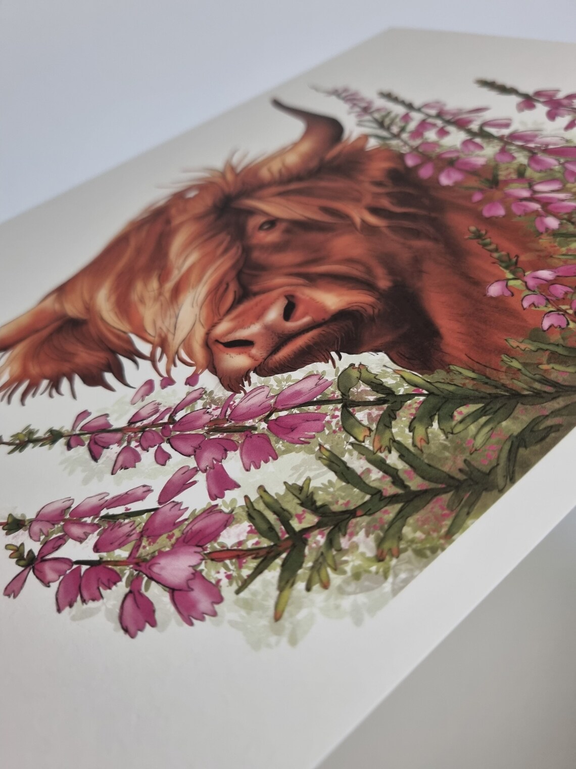 Highland Cow & Heather Print - Heilan Coo Drawing - Hairy Coo Digital ...