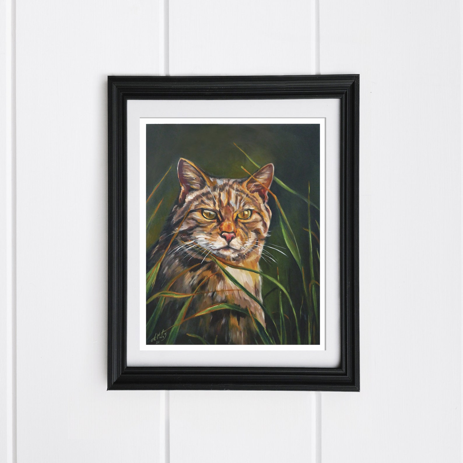 Scottish Wildcat Print Scotland's Endangered Animals - Etsy