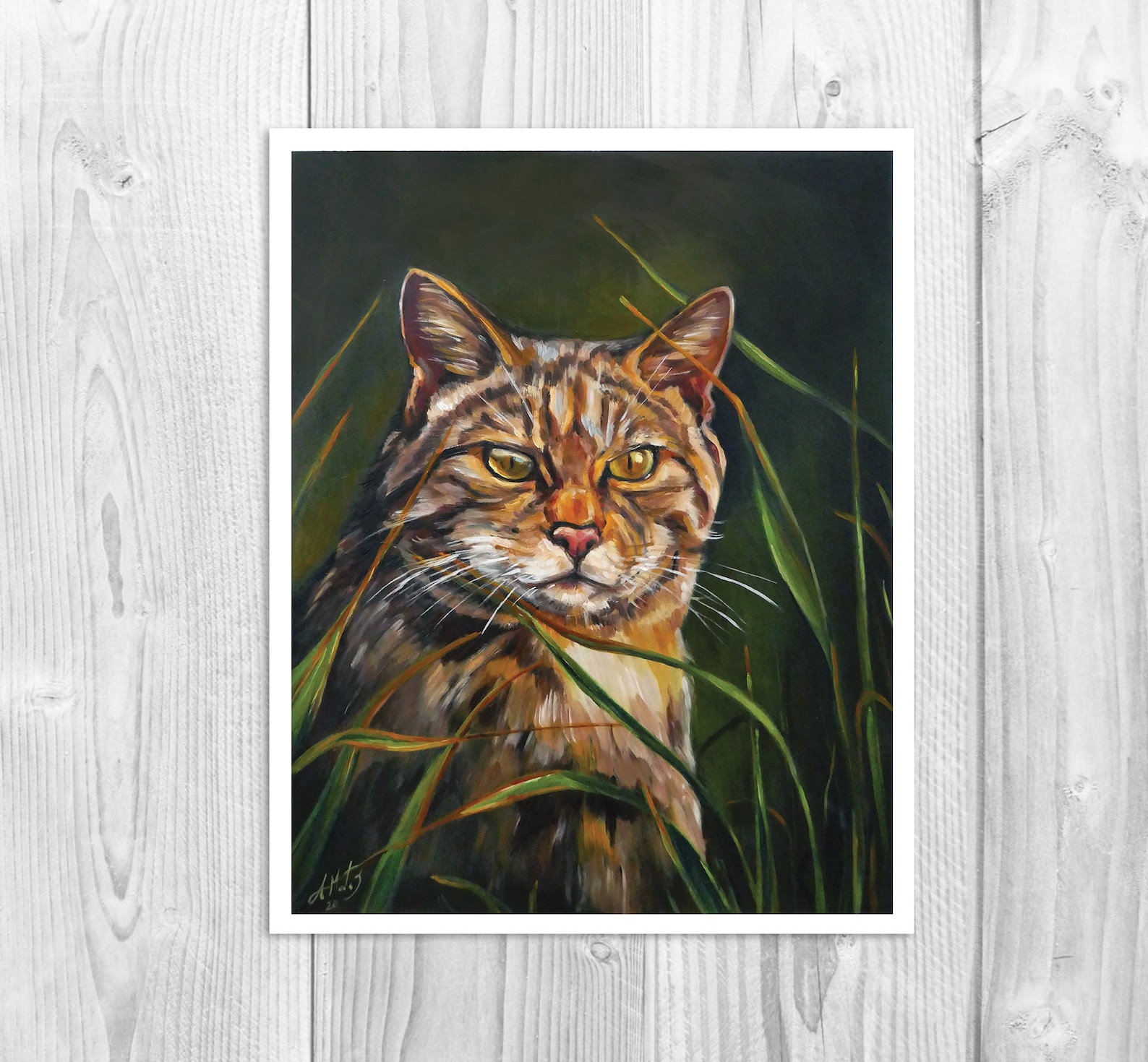 Scottish Wildcat Print Scotland's Endangered Animals | Etsy