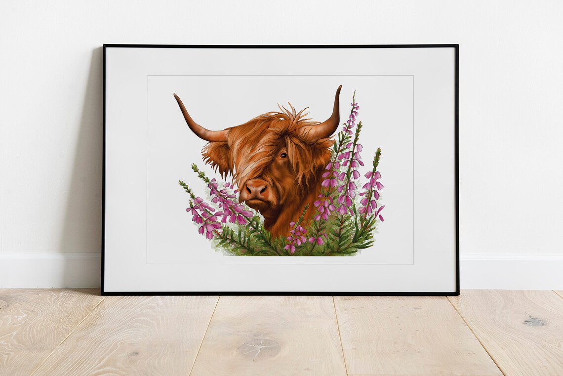Highland Cow & Heather Print - Heilan Coo Drawing - Hairy Coo Digital ...