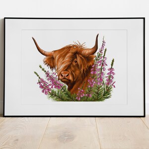Highland Cow & Heather Print - Heilan Coo Drawing - Hairy Coo Digital ...