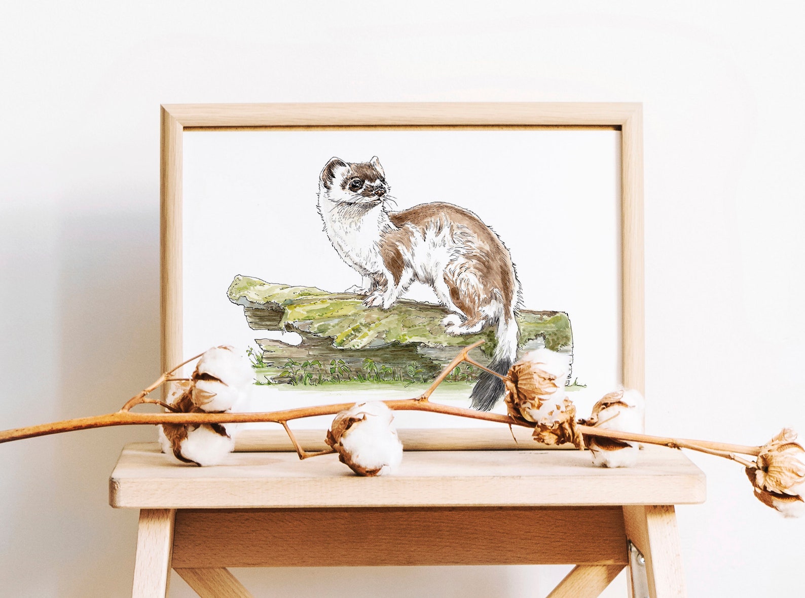 Stoat Print From an Original Ink Drawing Ermine Coat - Etsy UK