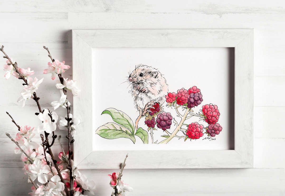Dormouse With Berries Drawing - Original Watercolour - Ink Illustration ...