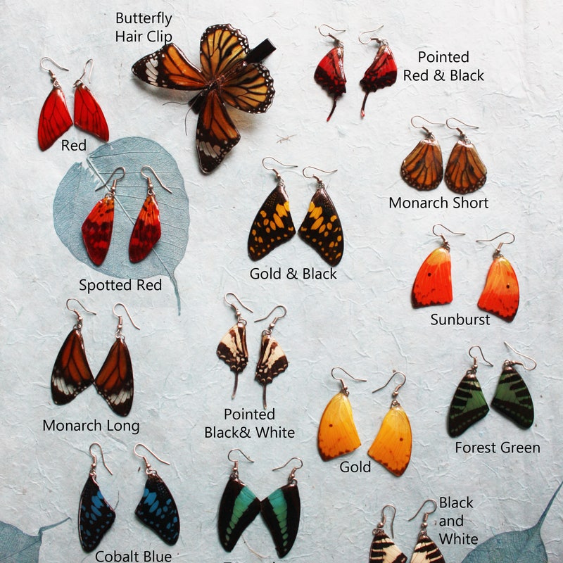 Real Butterfly Wing - Etsy
