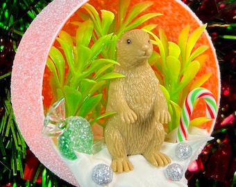 Prairie Dog Dioramas - Etsy