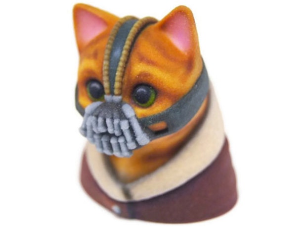 Bane Cat Meme Darkness