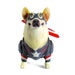 Captain America Corgi - Etsy
