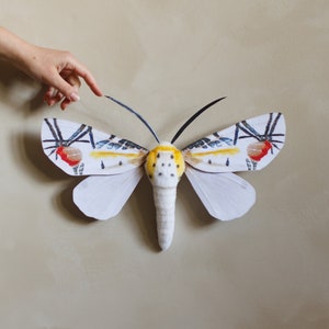 16x10 Inch Picasso Moth "baorisa Hieroglyphica" : Faux Entomology ...