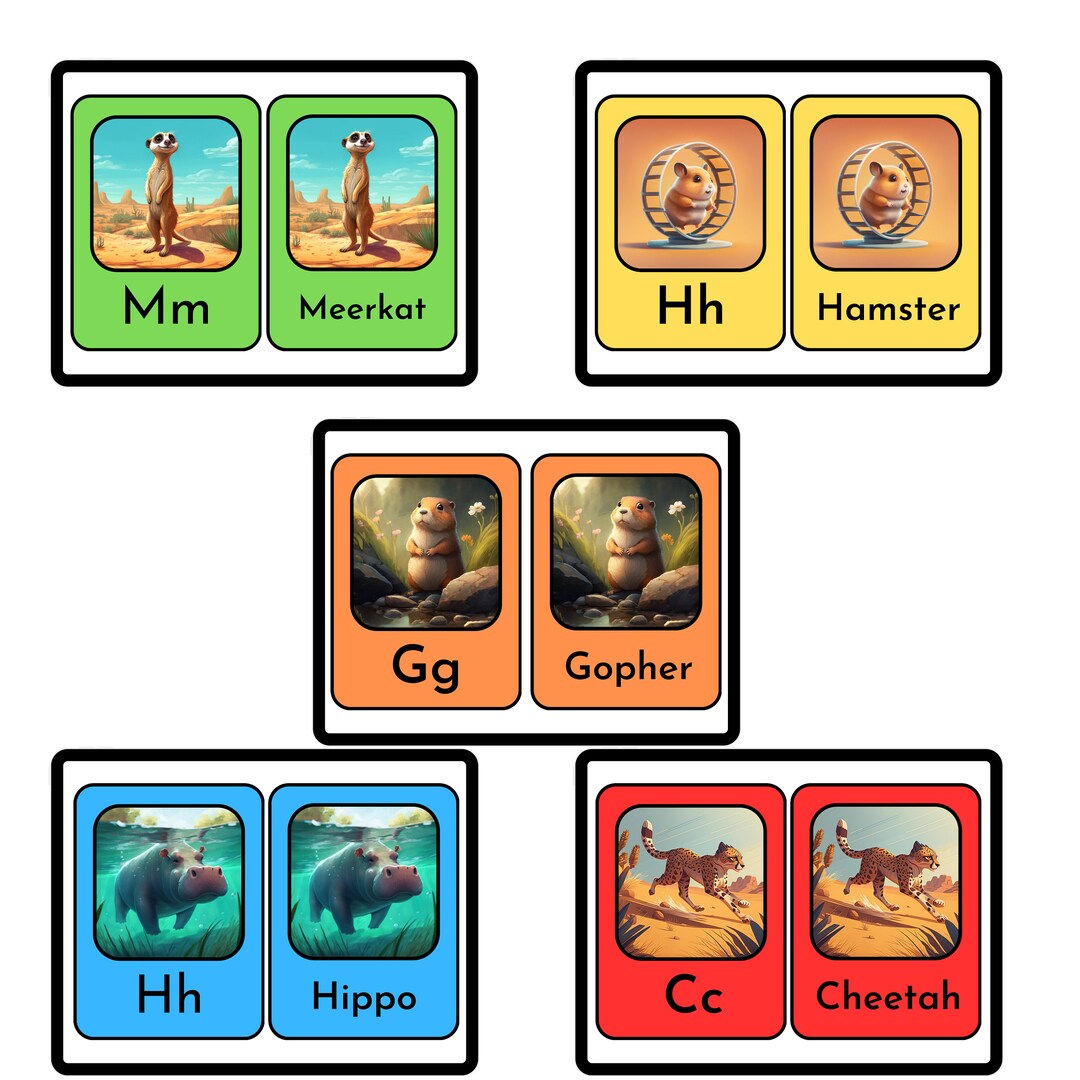 Ipad SET 5 Decks of ABC Animal Flash Cards Blue Red - Etsy