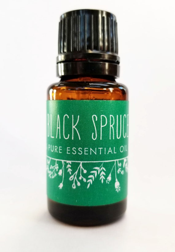 Black Spruce Essential Oil 15ml | Etsy