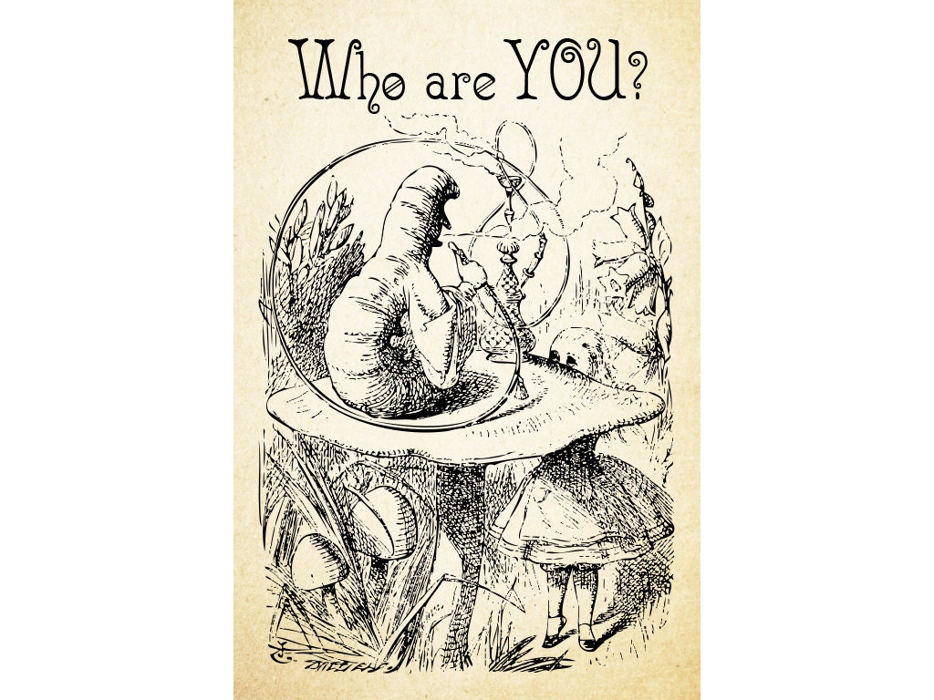 Alice in Wonderland Party Decorations Who Are You Print - Etsy