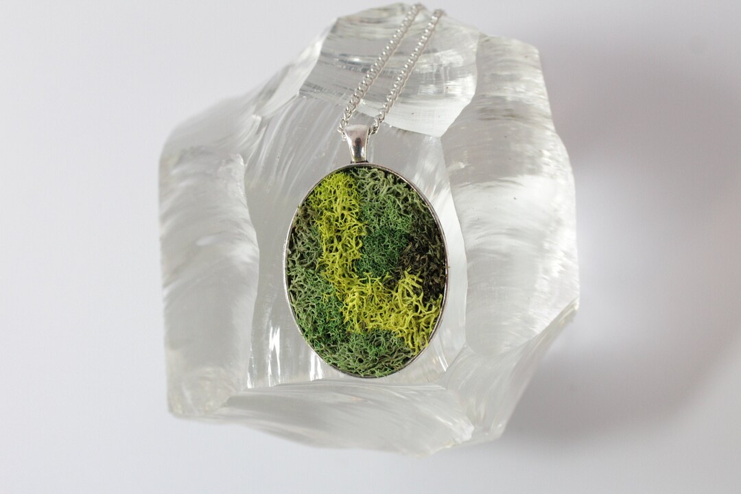 Moss Terrarium Necklace, Silver Pendant | Plant Lovers Necklace, Green ...