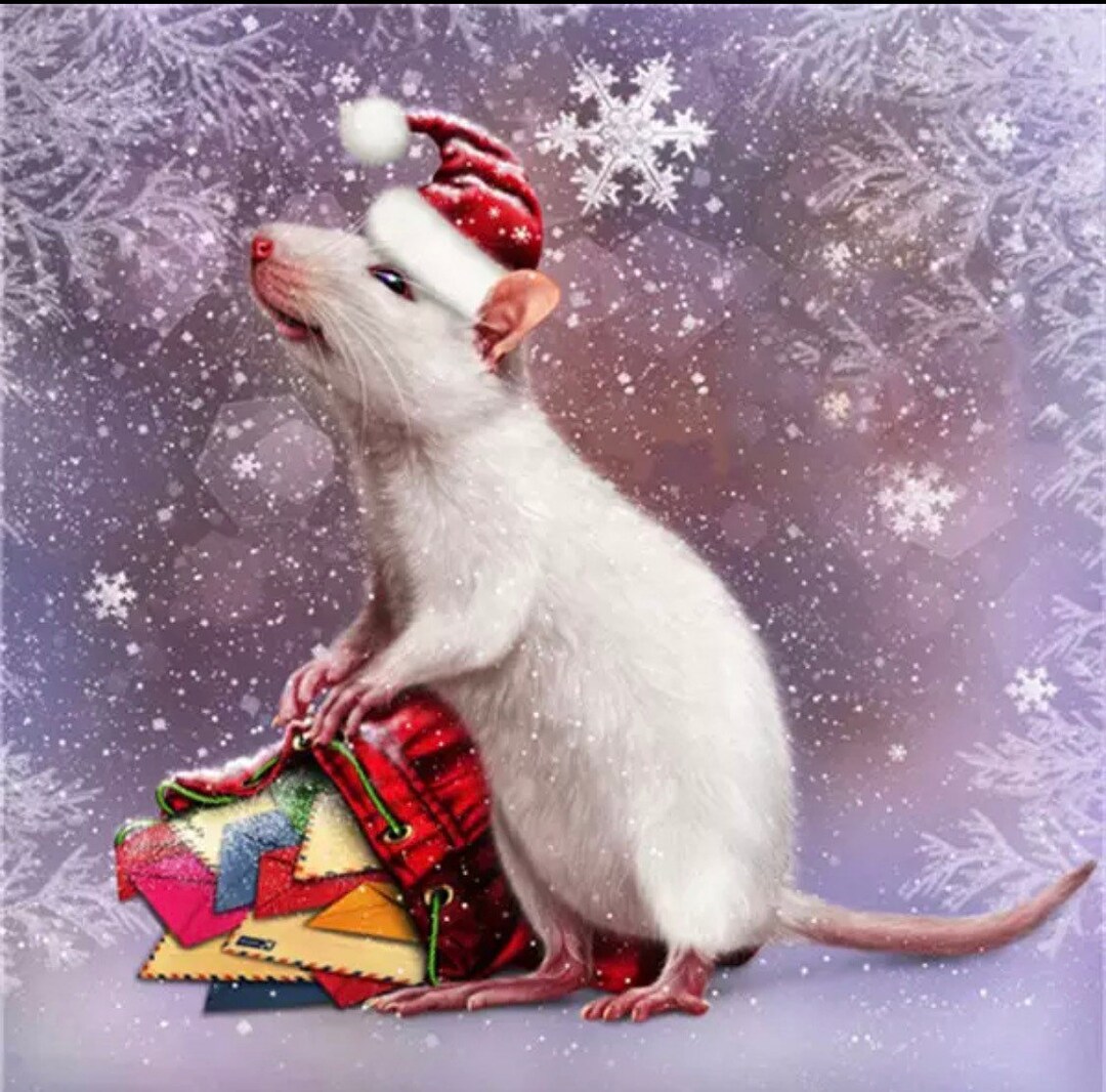 US Shipping, 25x25cm Adorable Christmas Rat, Mouse, Diamond Painting ...
