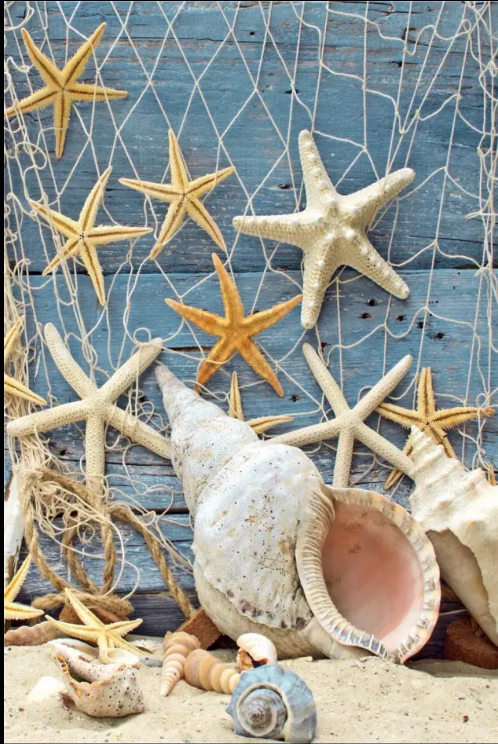 US Seller. 40x50cm Nautical Ocean Beach Seashells Starfish | Etsy