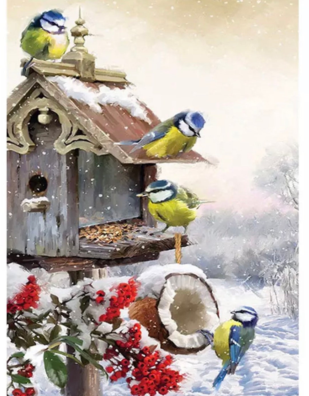 US Seller. 50x40cm Christmas Birdhouse, Colorful Birds, Winter Snow ...