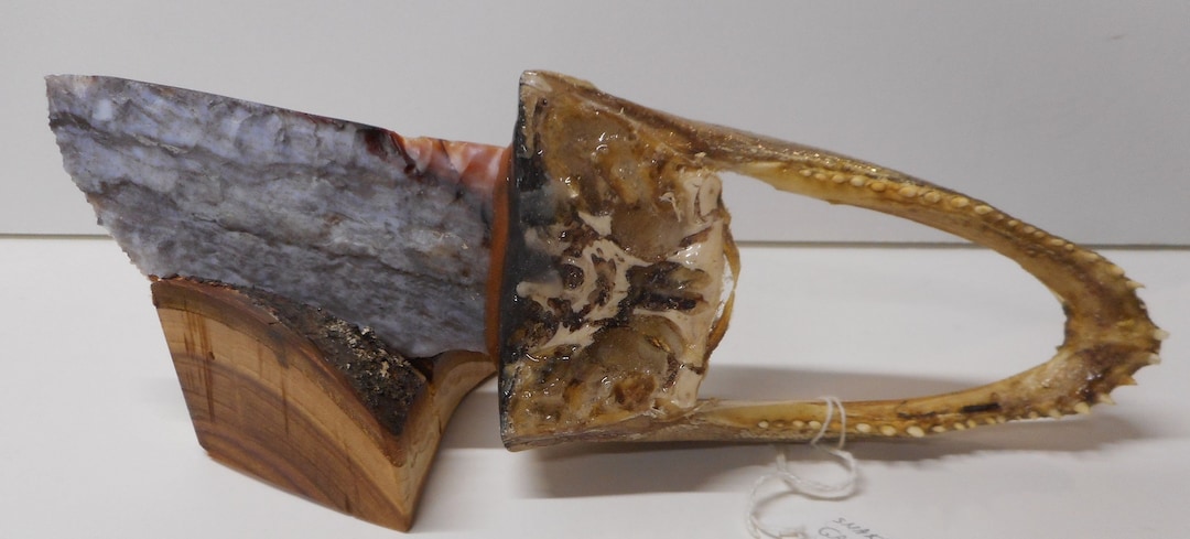 Flintknapped Snake River Agate Blade on Gator Jawbone Handle W/display ...