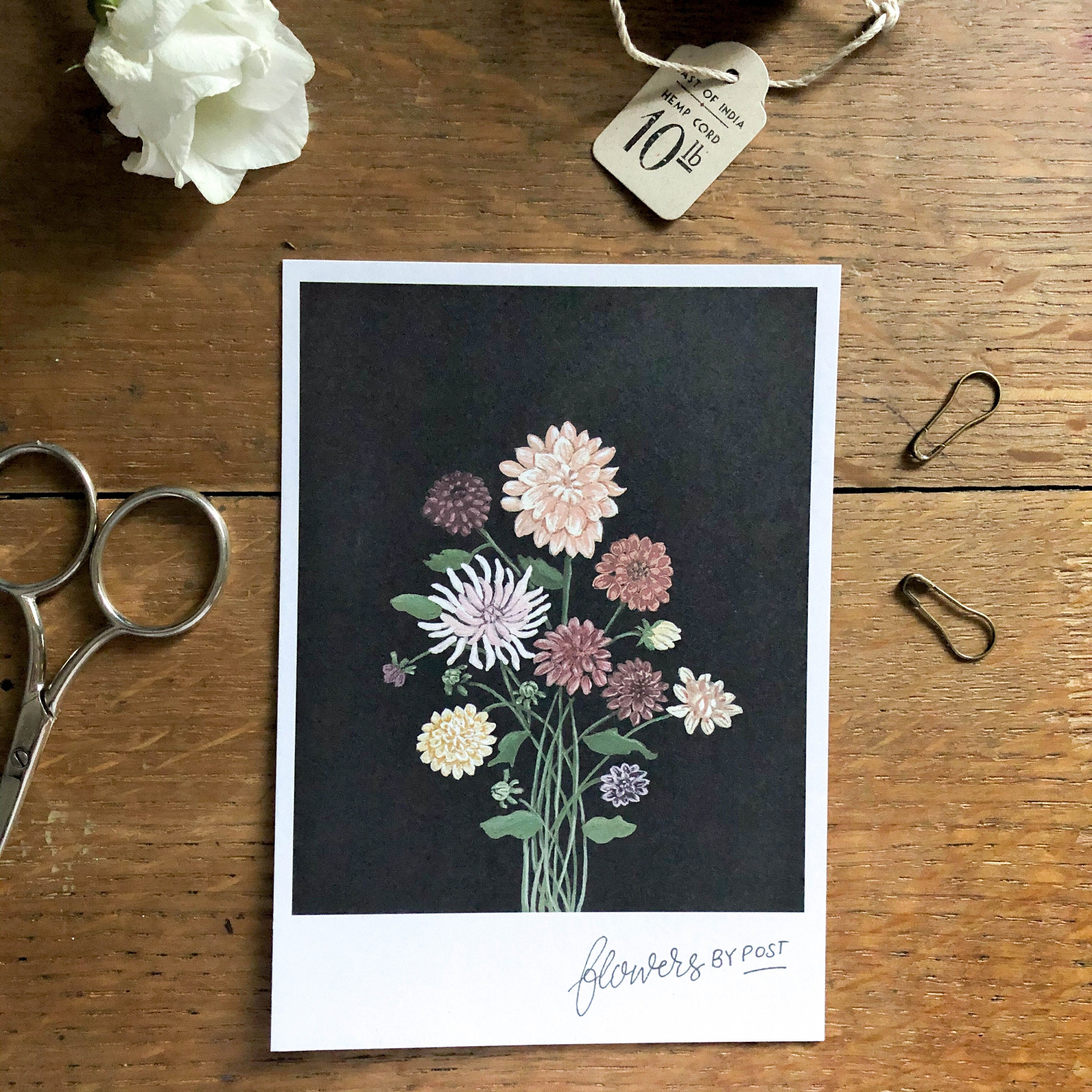 Dark Floral Postcard Set Hand Illustrated ‘flowers by Post’ Design on ...
