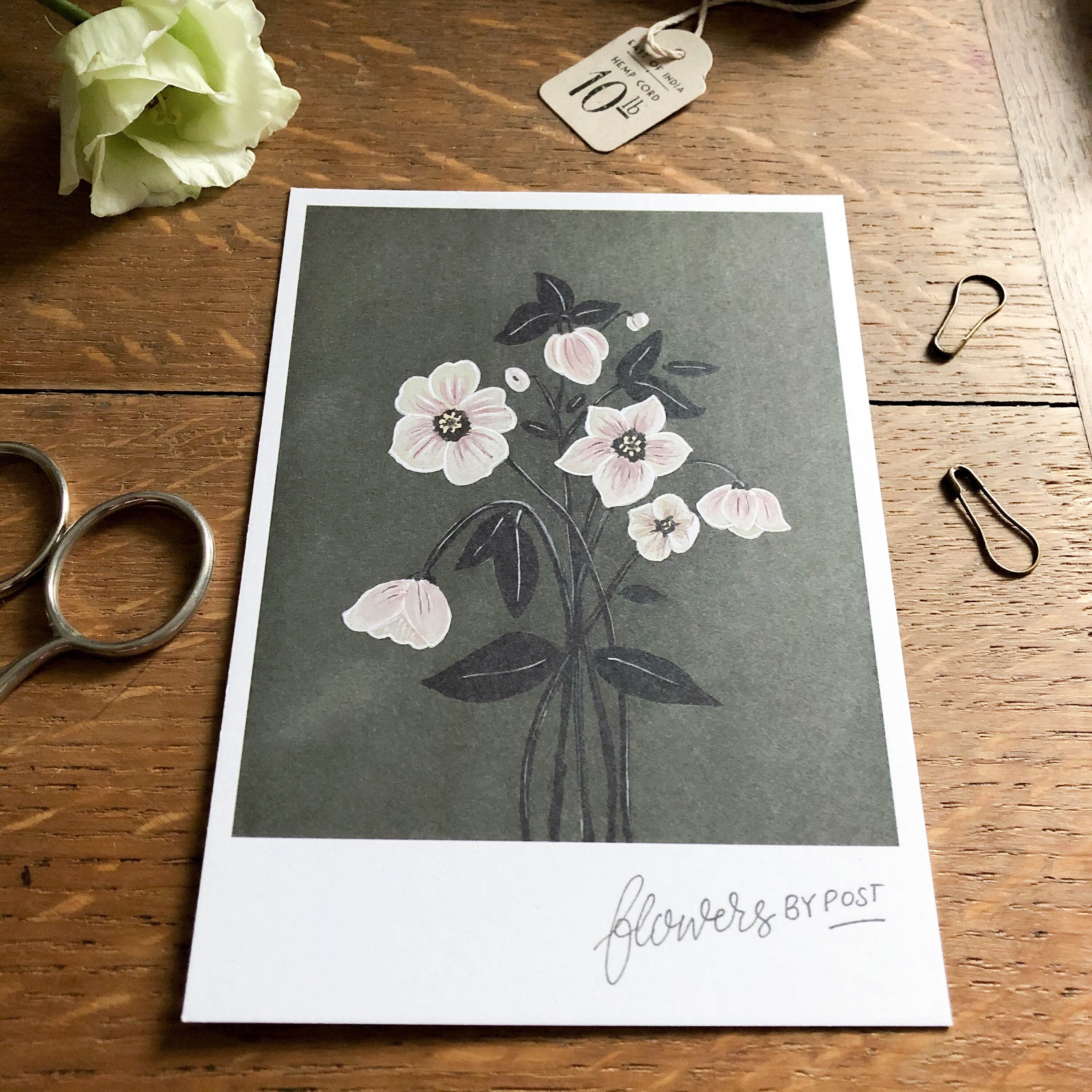 Dark Floral Postcard Set Hand Illustrated Flowers By Post | Etsy