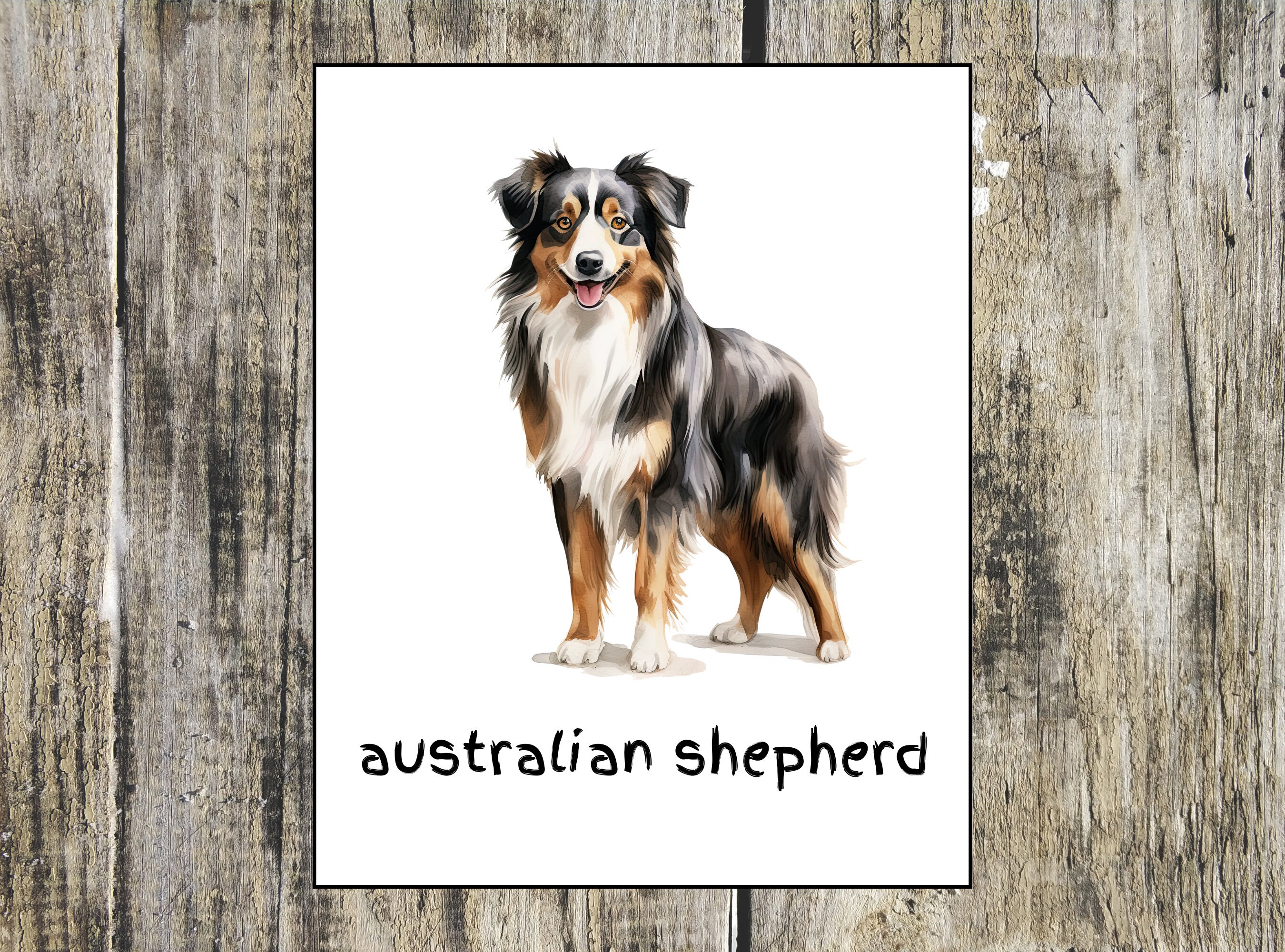 Breeds of Dogs Flashcards, Dog Breed Flashcards Kids, 25 Montessori ...