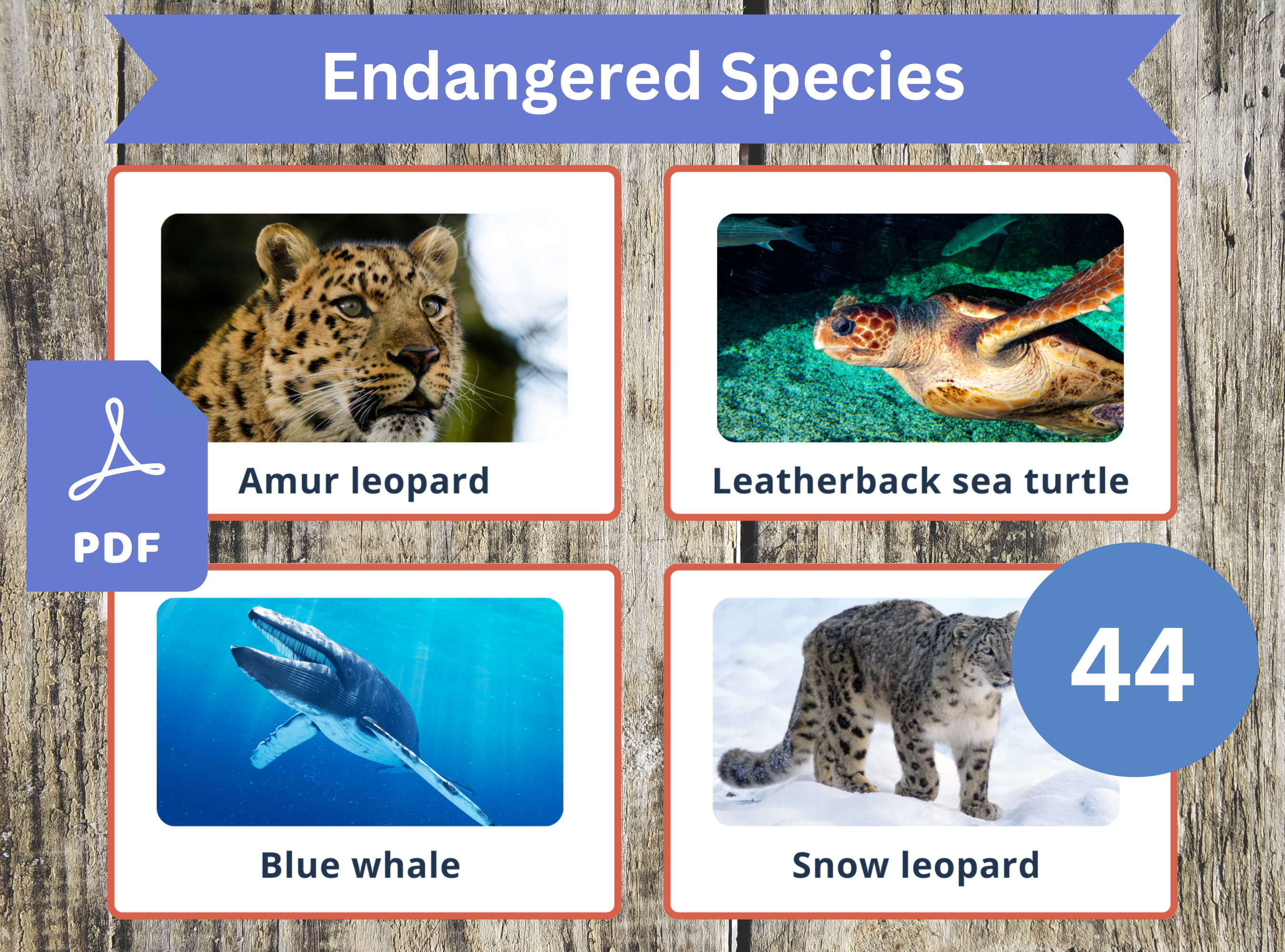 Endangered Species Poster Endangered Species Cards - Etsy