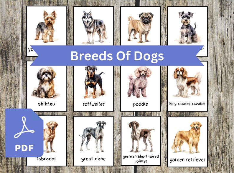 Breeds of Dogs Flashcards, Dog Breed Flashcards Kids, 25 Montessori ...