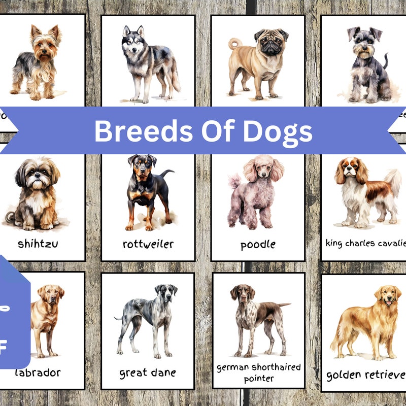 PrintsBlissZone - Etsy