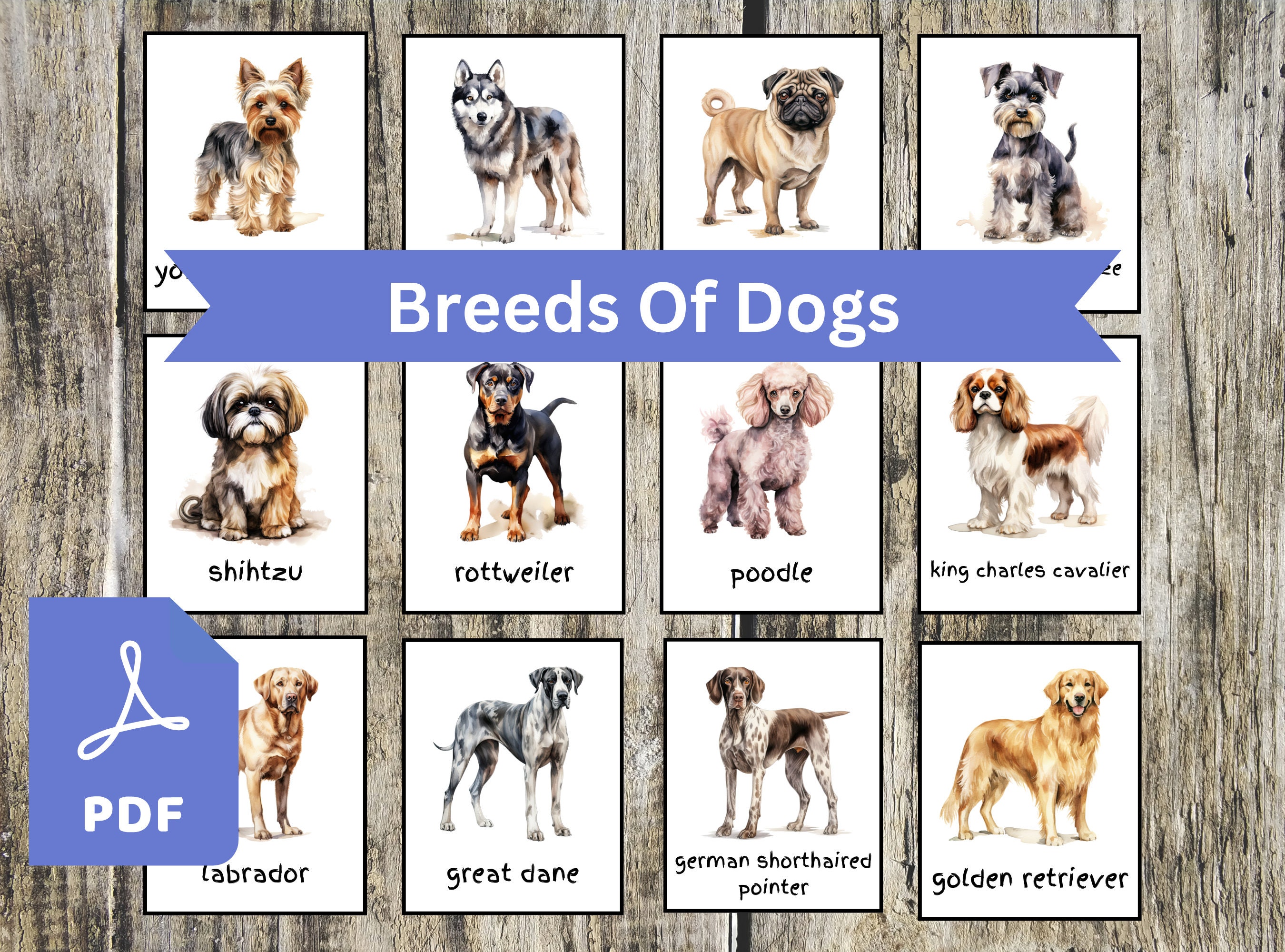 Breeds of Dogs Flashcards, Dog Breed Flashcards Kids, 25 Montessori ...