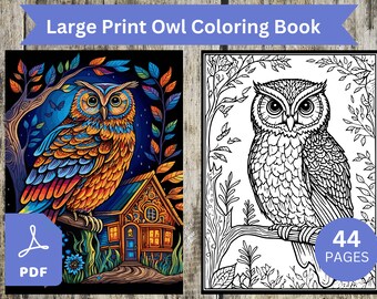 Barn Owl Coloring Book Page, Birds, Bird Nerd, Bird Gifts, Fun Bird ...