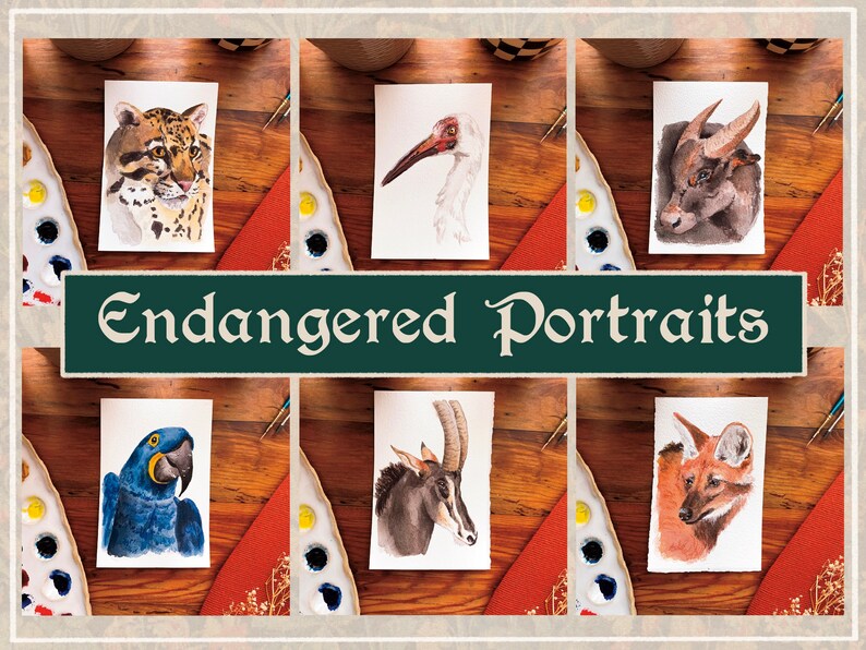 Endangered Species Portraits - Original Watercolor Paintings - 4x6 ...