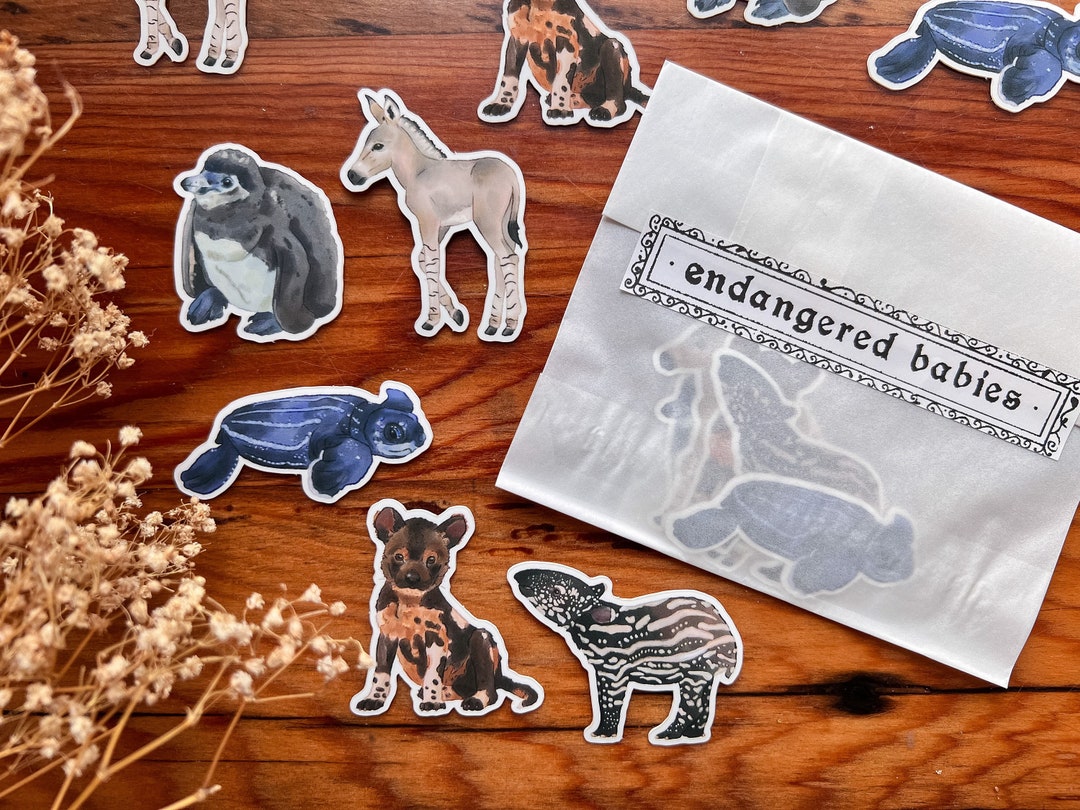 Endangered Baby Animals Sticker Pack - Matte Vinyl Decals - Etsy
