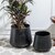 Peetal Matte Gold Brass Planter I Elegant Matte Gold Brass Planter I ...