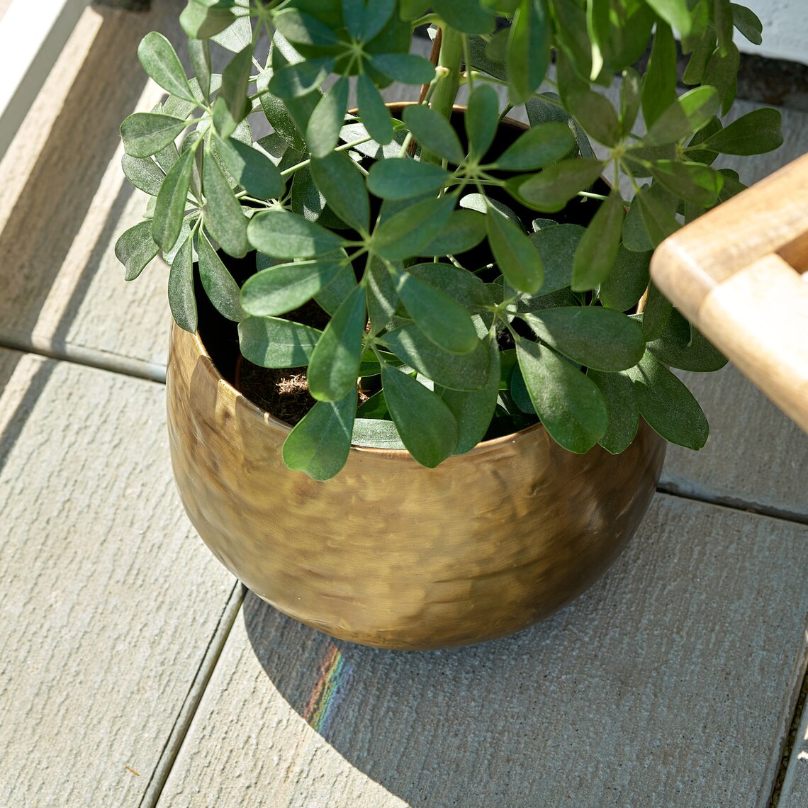 Peetal Matte Gold Brass Planter I Elegant Matte Gold Brass Planter I ...