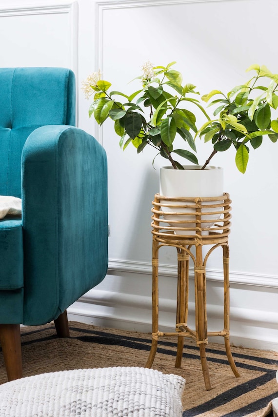 Eco-friendly Cane Plant Stand 'gamla' Lightweight / - Etsy