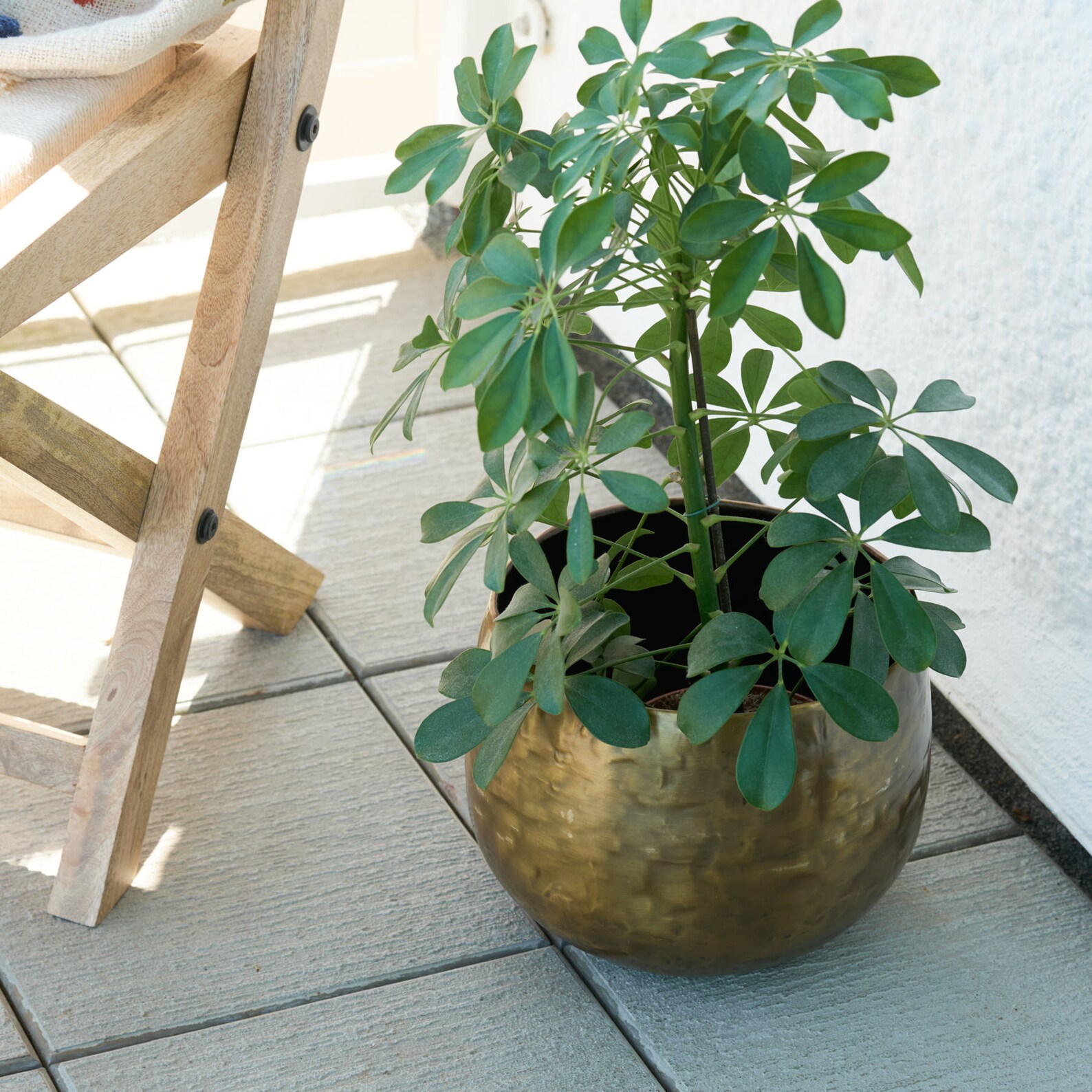 Peetal Matte Gold Brass Planter I Elegant Matte Gold Brass Planter I ...