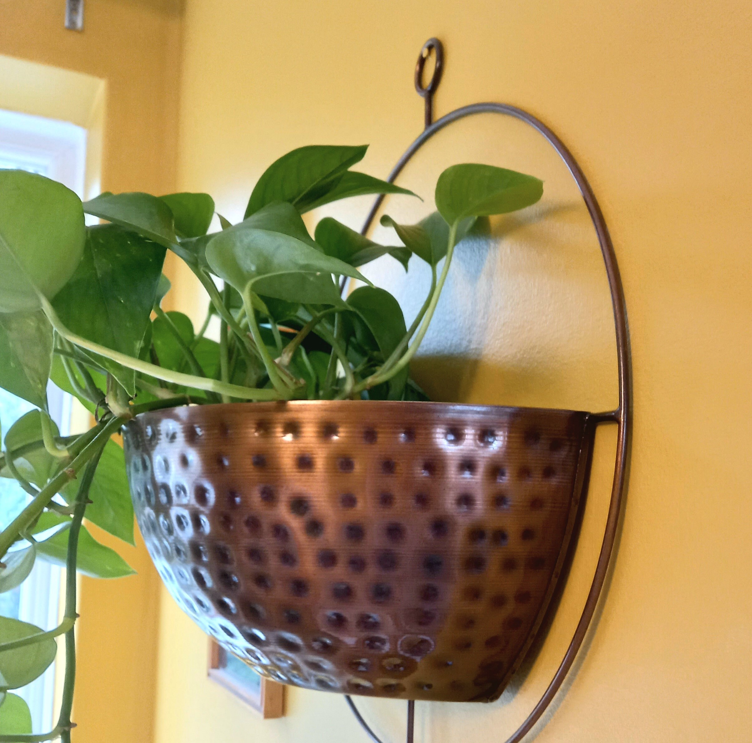Hanging Wall Ring Planter With Copper Finish / Hammered - Etsy