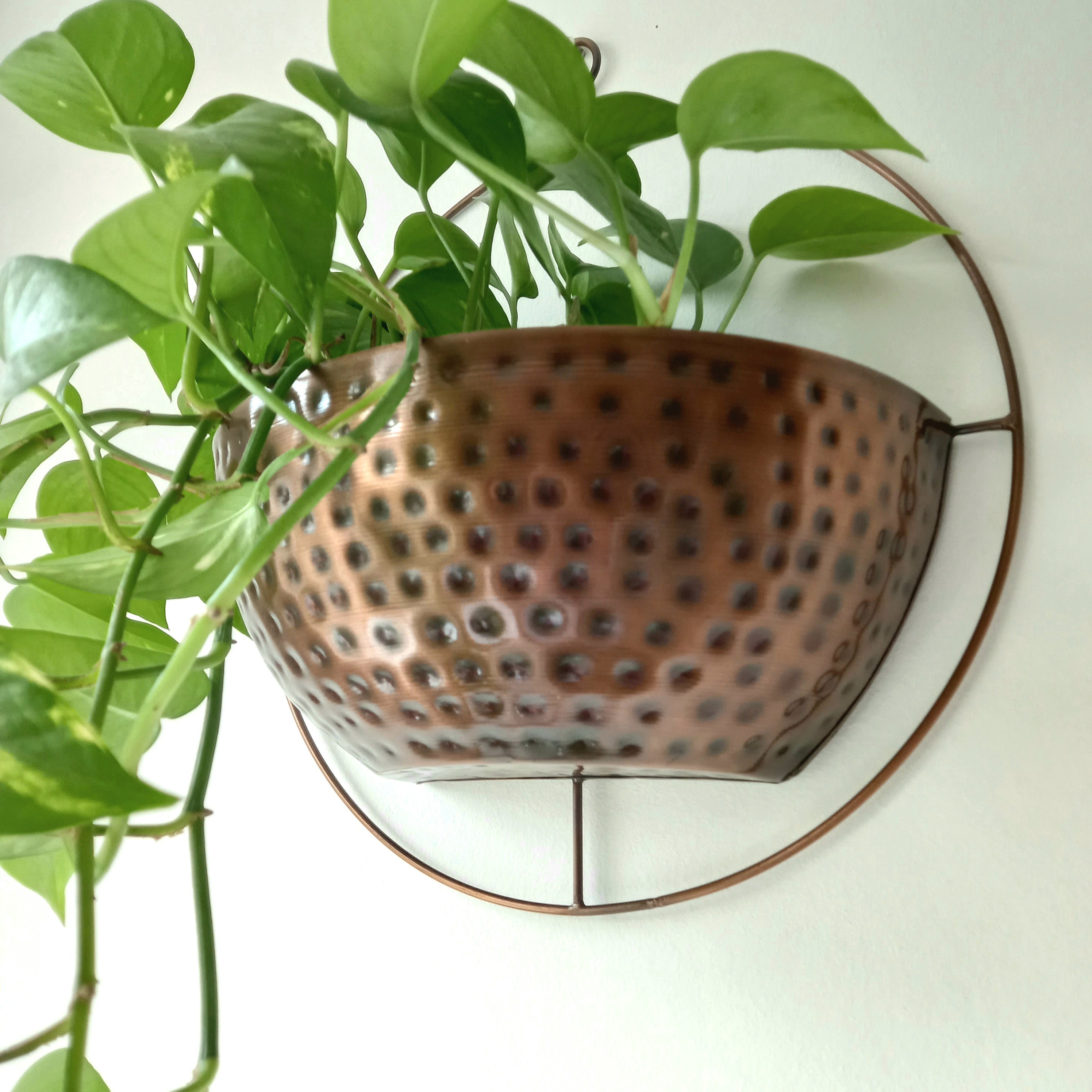 Hanging Wall Ring Planter With Copper Finish / Hammered - Etsy