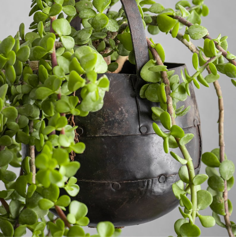 Rustic Hanging Planter With Handle "sinduri" / Made From Reclaimed ...