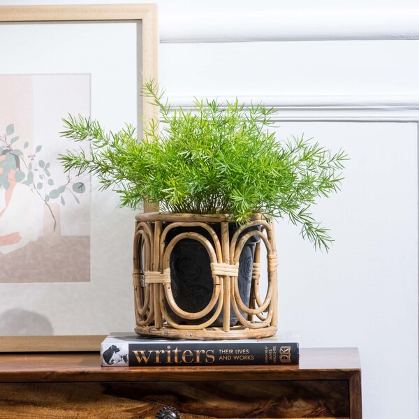 Woven Plant Pot - Etsy