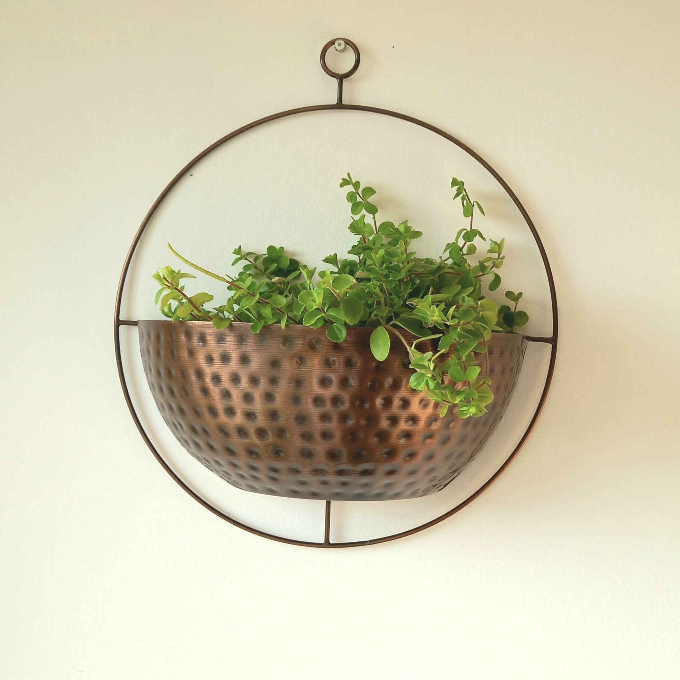 Hanging Wall Ring Planter With Copper Finish / Hammered - Etsy
