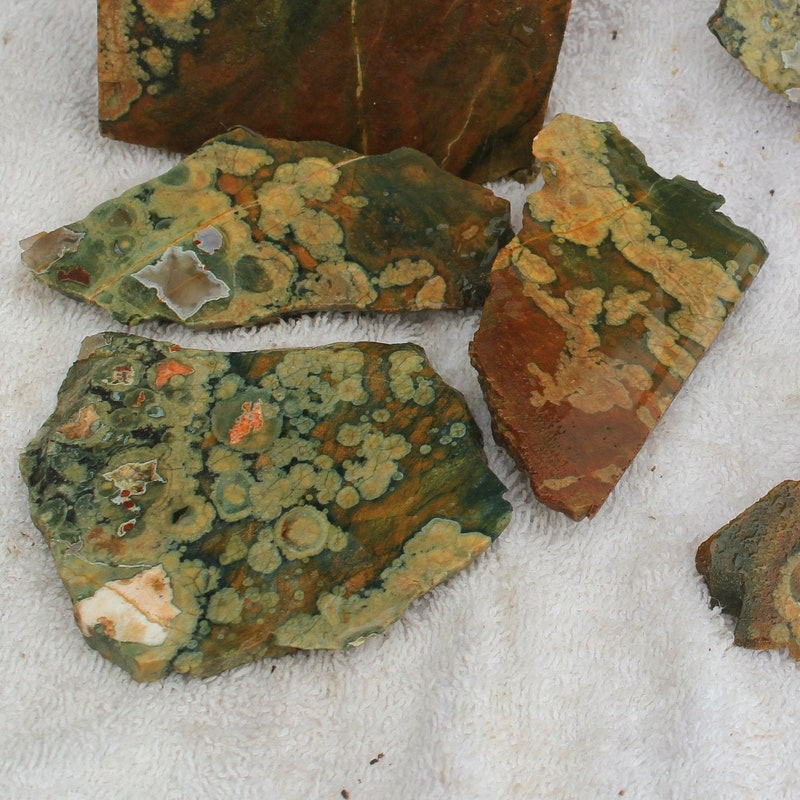 Rainforest Jasper Cabs - Etsy