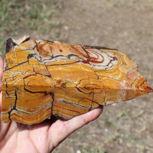 2.4# BIRDSEYE JASPER ROUGH 3-piece Rock Lot * Orbicular Swirling Stone ...